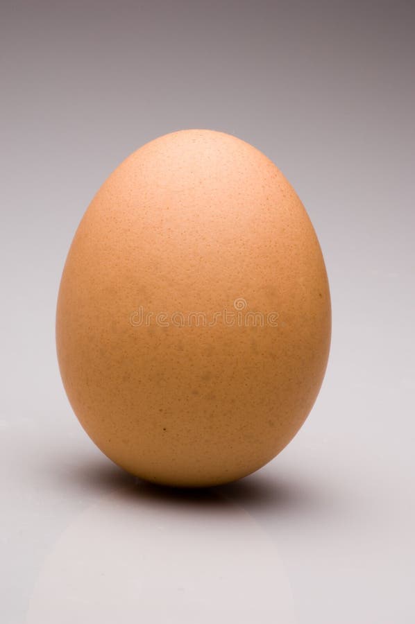 Single egg on white stock photo. Image of shell, protein - 583290
