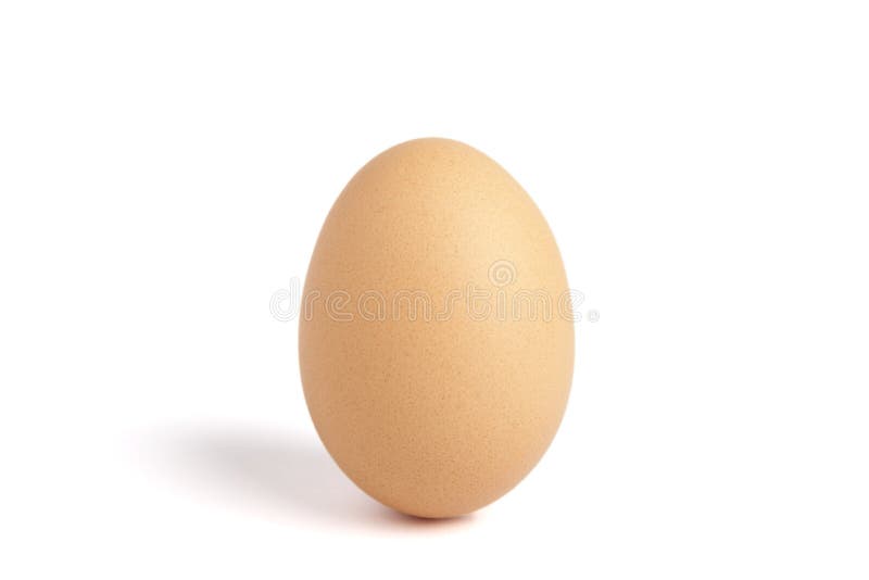 Egg stock photo. Image of cuisine, cutout, nature, macro - 9804046