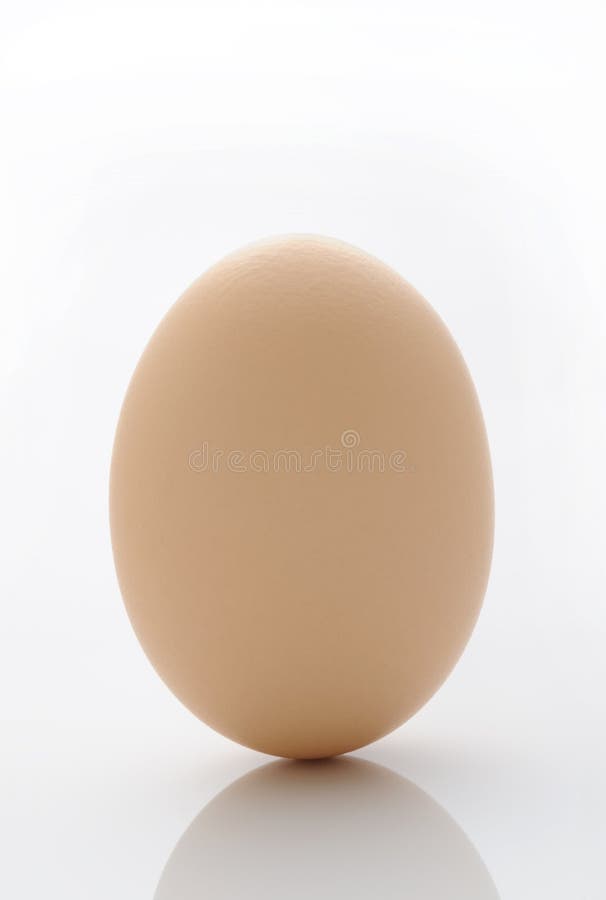 Single egg on white stock photo. Image of shell, protein - 583290