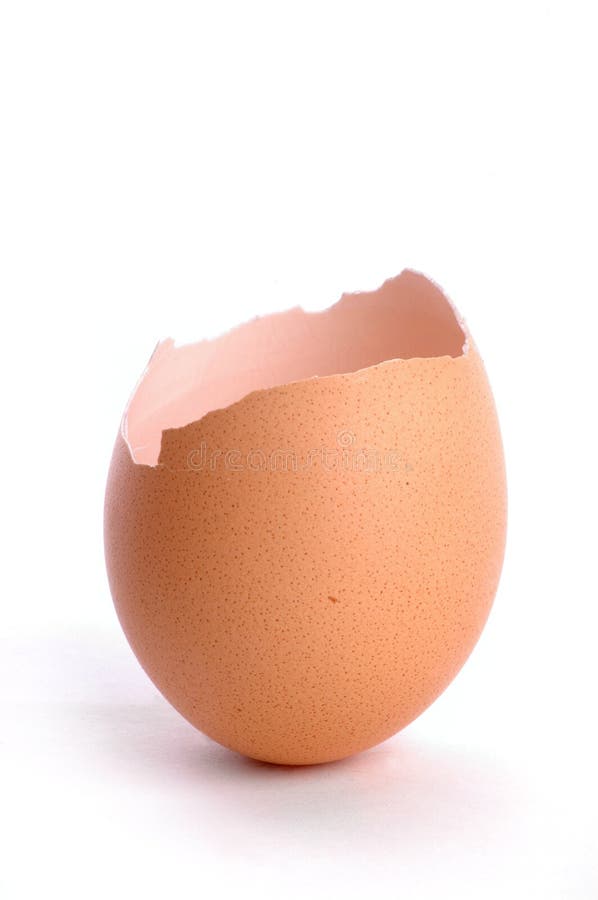 Cracked Egg Open stock photo. Image of oval, shell, baby - 614224