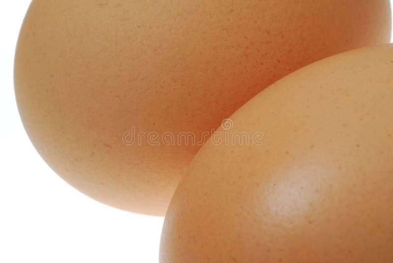 Egg stock photo. Image of shell, food, dirt, breakfast - 3004294