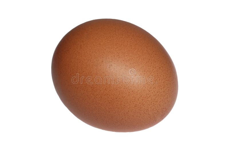 Egg stock photo. Image of macro, alone, lunch, nature - 2056102