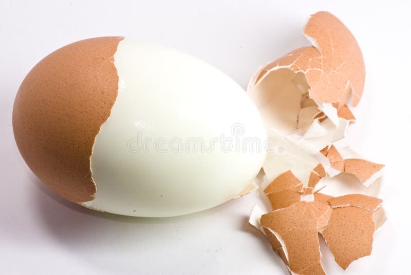 Cracked Egg Open stock photo. Image of oval, shell, baby - 614224