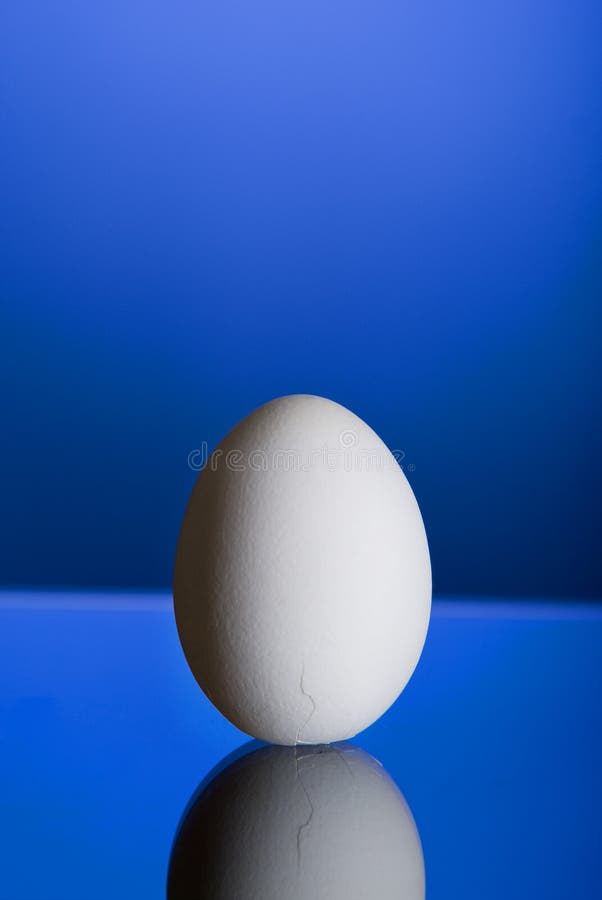 Egg Against Blue Background Stock Photo - Image of reflection, blue ...