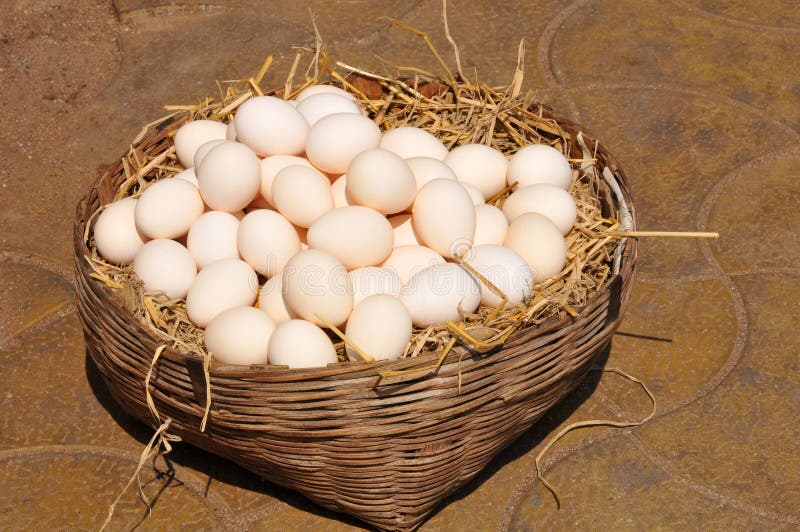 Egg basket in the sun stock photo. Image of market, wicker - 14429718