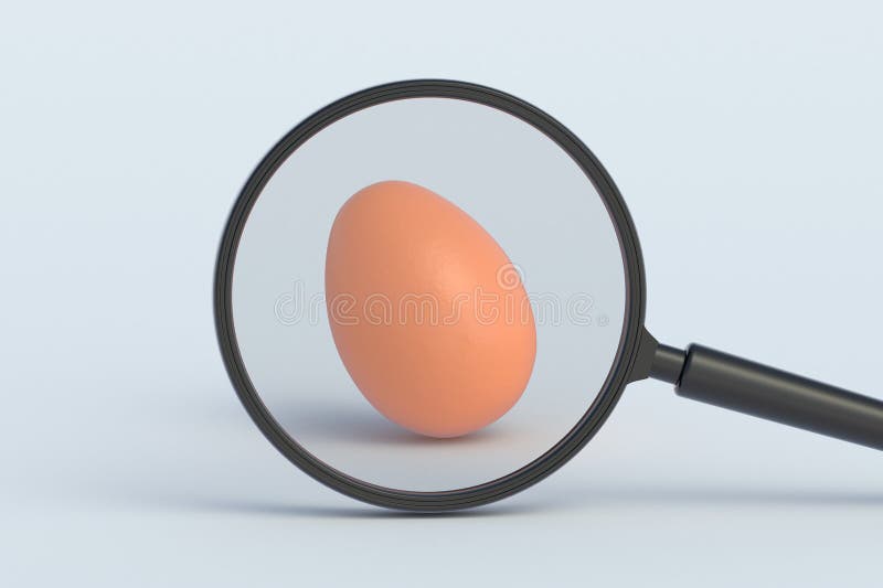 Egg Behind Magnifying Glass. Stock Illustration - Illustration of ...