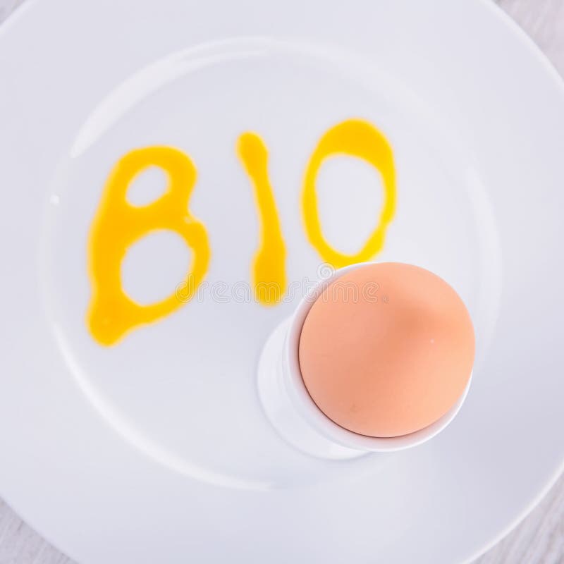 Egg bio stock image. Image of concept, ingredient, healthy - 44639861