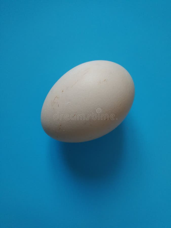 Egg stock image. Image of henapple, chicken, blue, background - 123608183