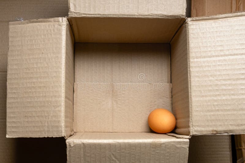 Egg at the Bottom of a Cardboard Box Stock Image - Image of protein ...
