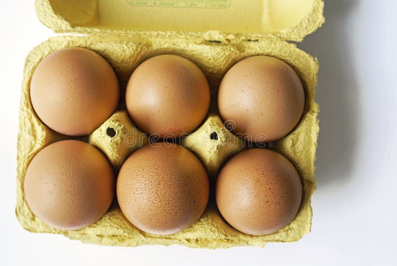 Egg box with six eggs stock image. Image of fresh, farm - 13041841