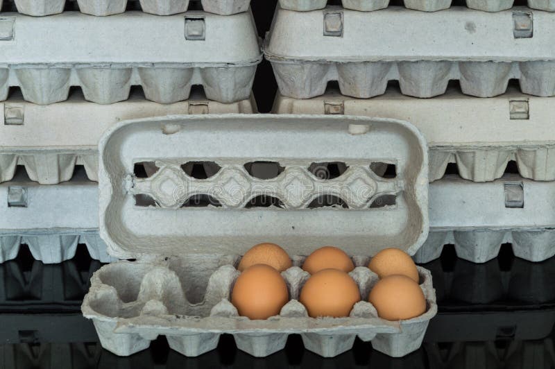 Egg Box with Six Organic Chicken Eggs Inside Stock Photo - Image of ...