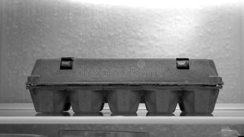 Egg Box Stands Inside the Refrigerator - Isolated on Black and White ...