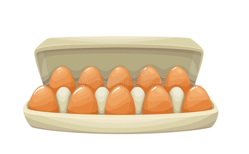 Egg Box with Ten Brown Chicken Eggs Stock Vector - Illustration of ...