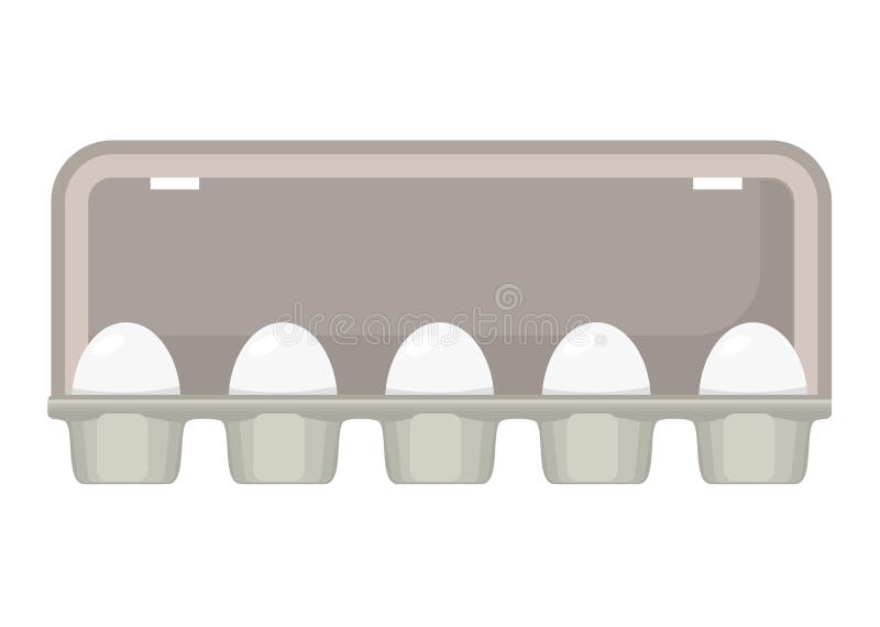 Egg Box with White Fresh Chicken Eggs. Stock Vector - Illustration of ...