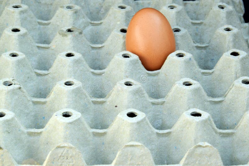 The egg boxes with one egg stock image. Image of hollow - 81456653