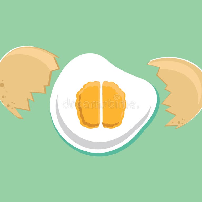 Egg Brain. Vector Illustration Decorative Design Stock Vector ...