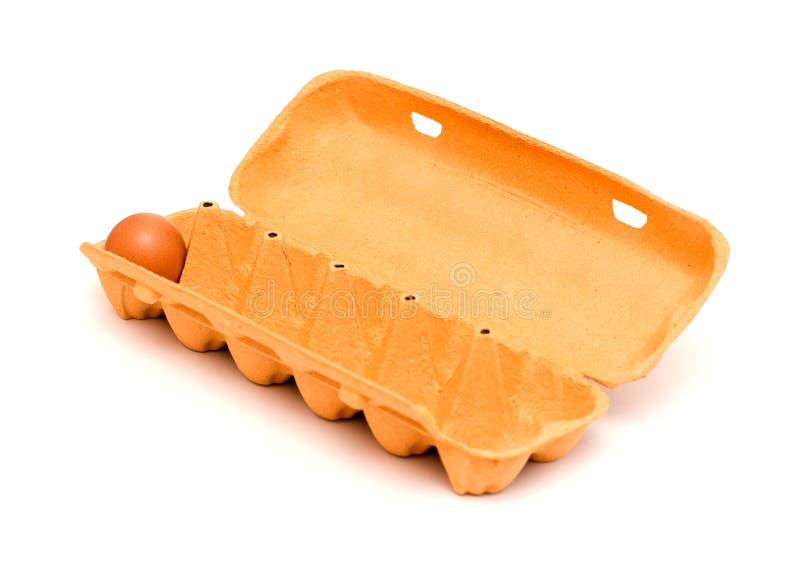 Egg Carton for a Dozen, One Large Brown Organic Chicken Egg Remaining ...