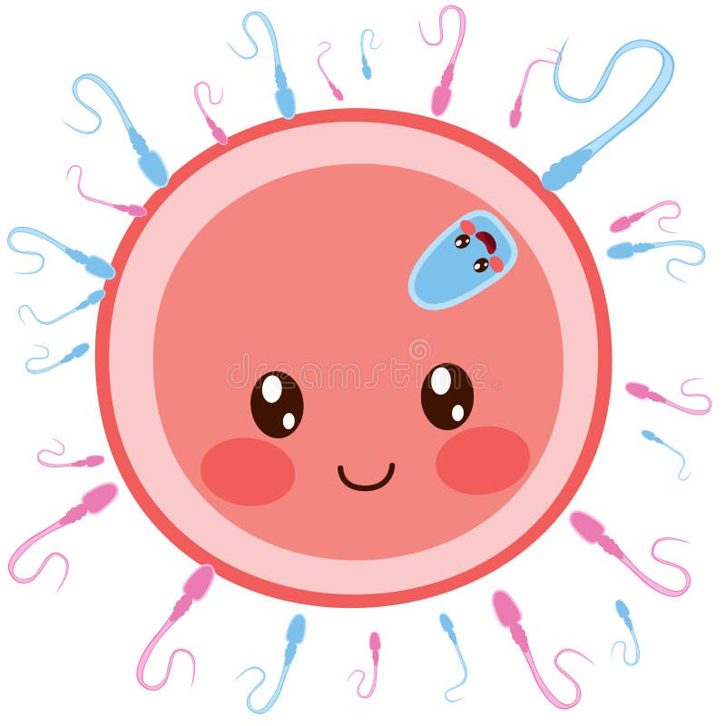 Egg Cell Blue Winner stock vector. Illustration of embryo - 246369030