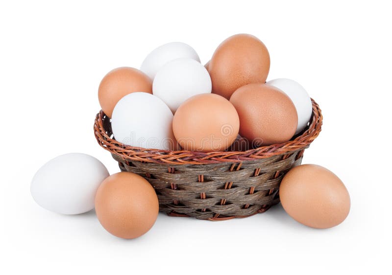 Egg collection stock photo. Image of nature, healthy - 55850936
