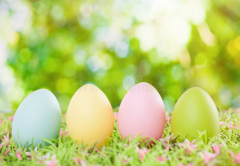 Egg color stock image. Image of decorated, fresh, event - 53159755