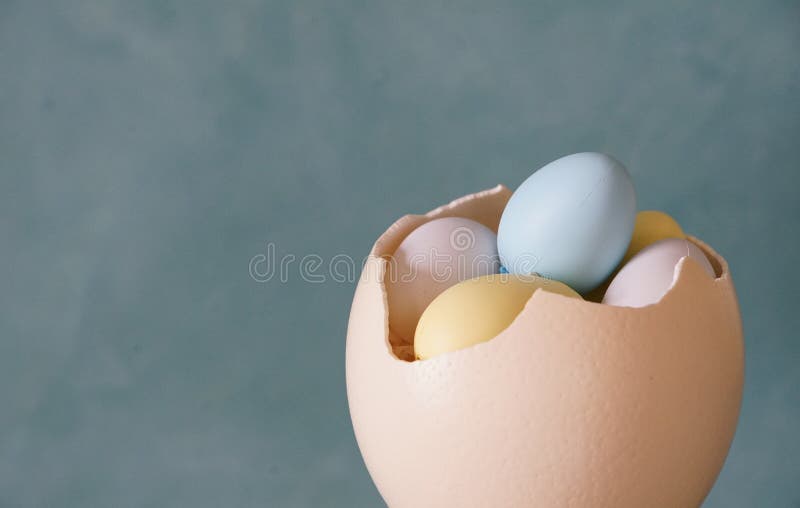Egg stock photo. Image of room, eggshells, indoor, view - 214270260