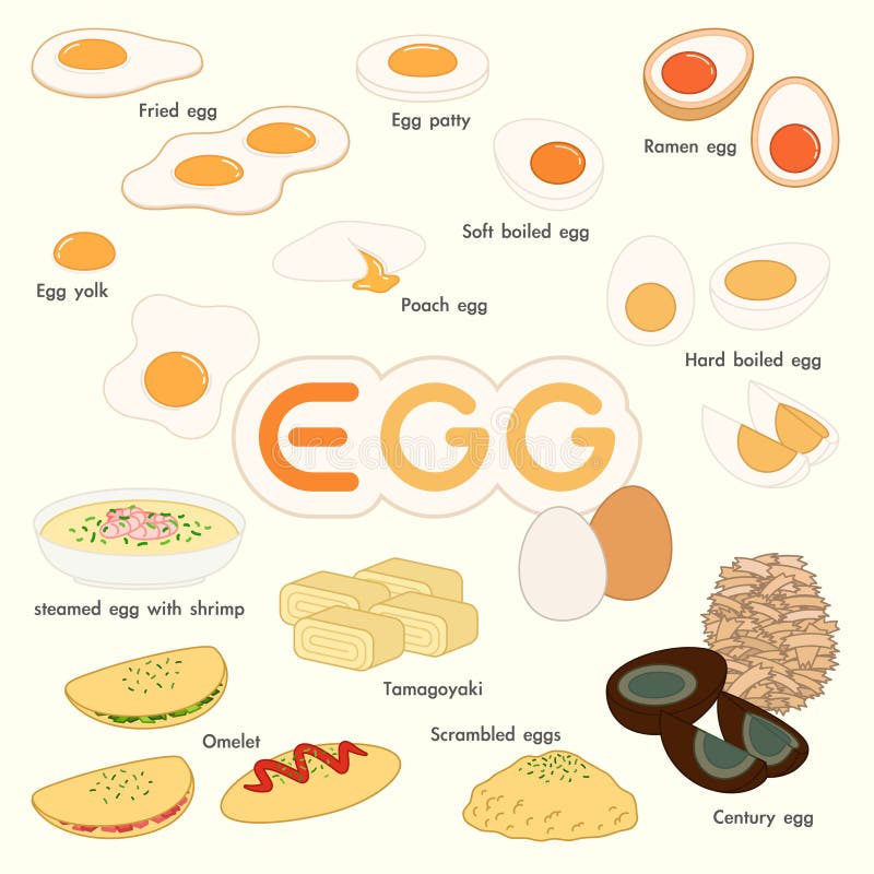 Egg Cook in Different Way and Formed Various Dish Illustration Vector ...