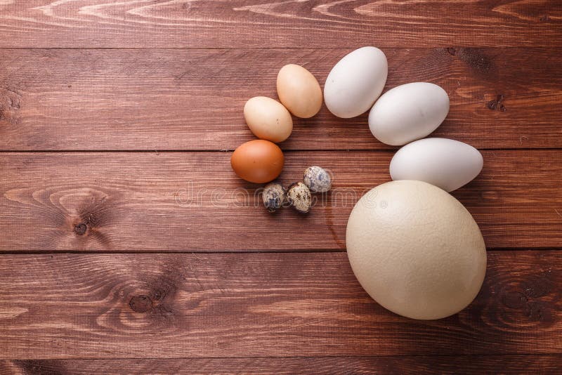 Egg of Different Birds on a Farm Stock Photo - Image of delicatessen ...