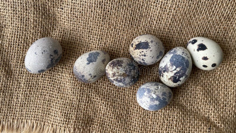 Egg, Egg Menu, Egg Shell, Cooking with Egg, Ingredient Stock Image ...