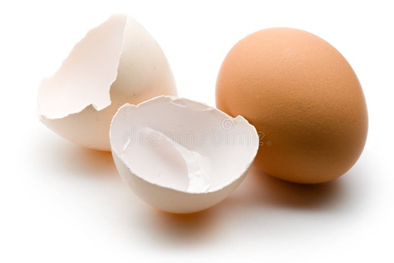 Eggshell stock image. Image of cooking, white, crushed - 21811371