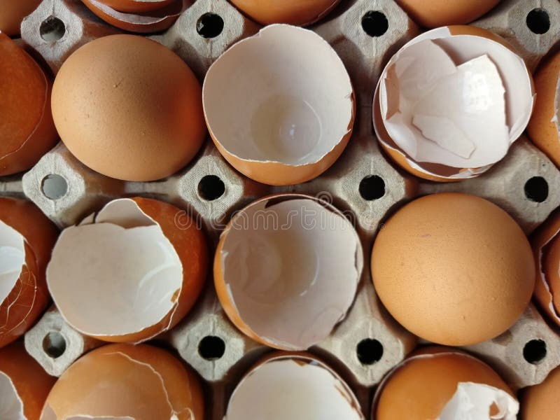 Egg and eggshell stock image. Image of round, group - 144872283