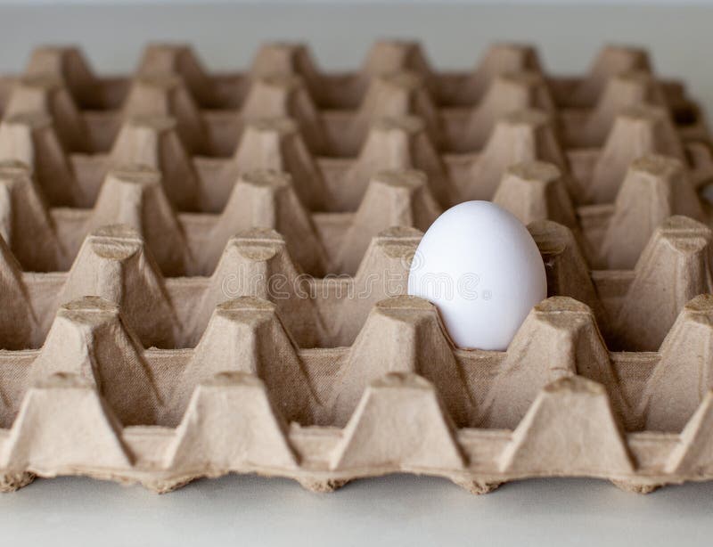 The only Egg among the Empty Cells of a Large Cardboard Package Stock ...