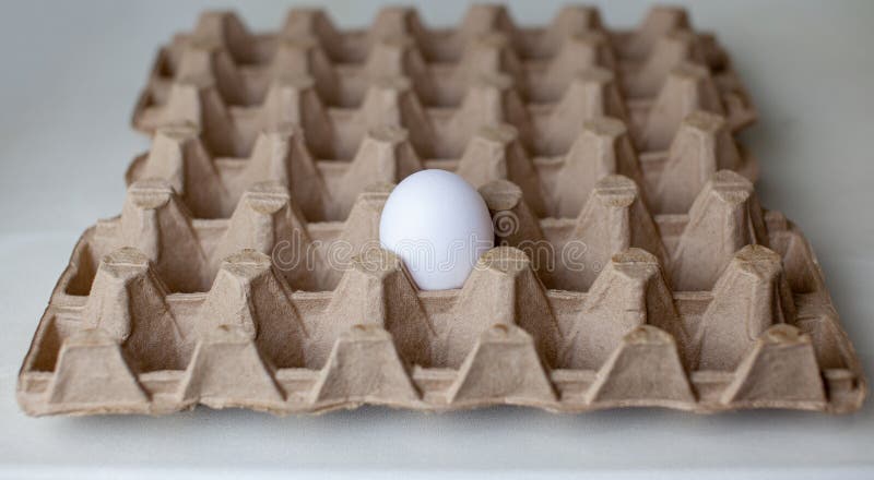 The only Egg among the Empty Cells of a Large Cardboard Package Stock ...