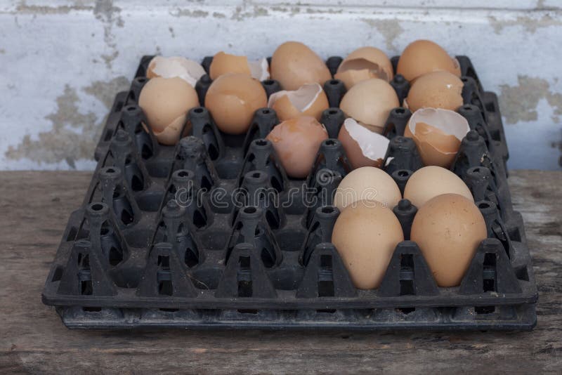 Egg and Empty Shell is Placed in a Plastic Tray in the Kitchen. Stock ...