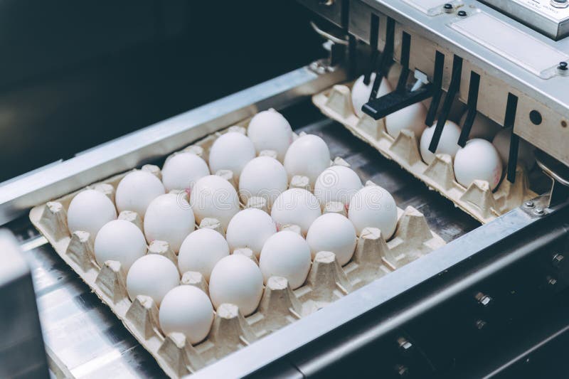 614 Poultry Production Technology Stock Photos - Free & Royalty-Free ...