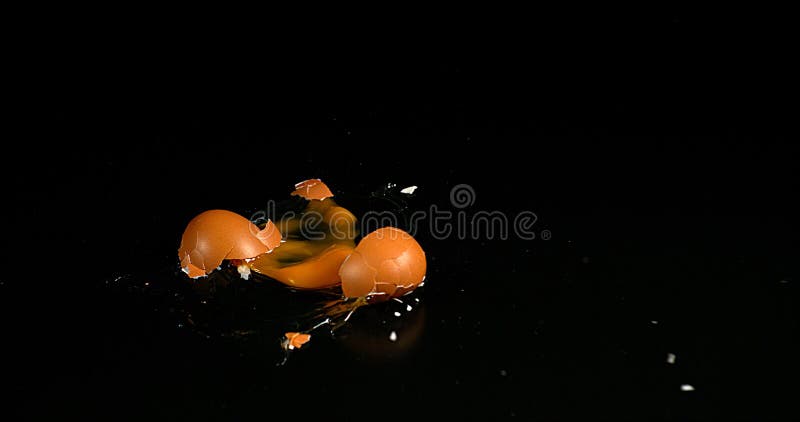 116 Exploding Egg Stock Photos - Free & Royalty-Free Stock Photos from ...