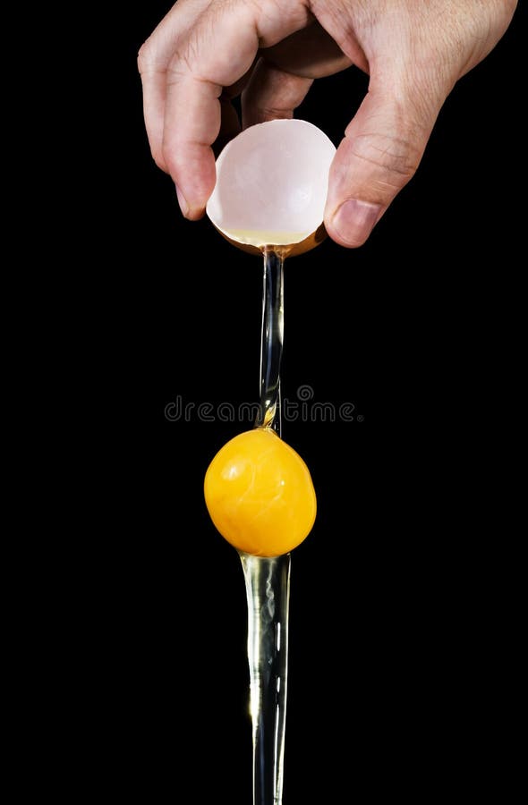 Egg falling stock photo. Image of frozen, yellow, cook - 67913906