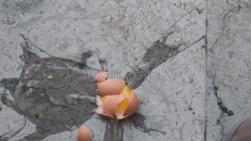Egg Falling and Breaking on the Floor Stock Footage - Video of cracking ...