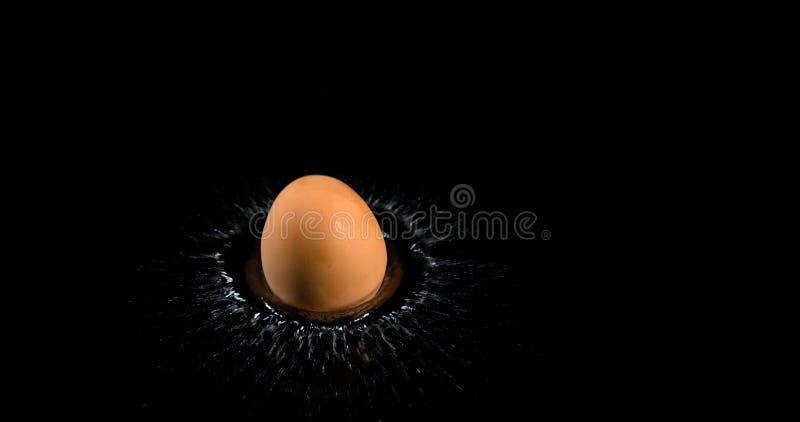 Egg Falling on Water Against Black Background Stock Image - Image of ...