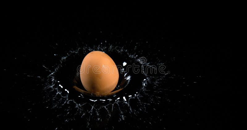 Egg Falling on Water Against Black Background Stock Image - Image of ...