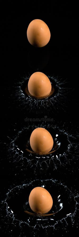 Egg Falling on Water Against Black Background Stock Photo - Image of diet, cooking: 289198928