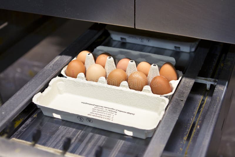 Egg farm stock photo. Image of industrial, industry, organic - 23486386