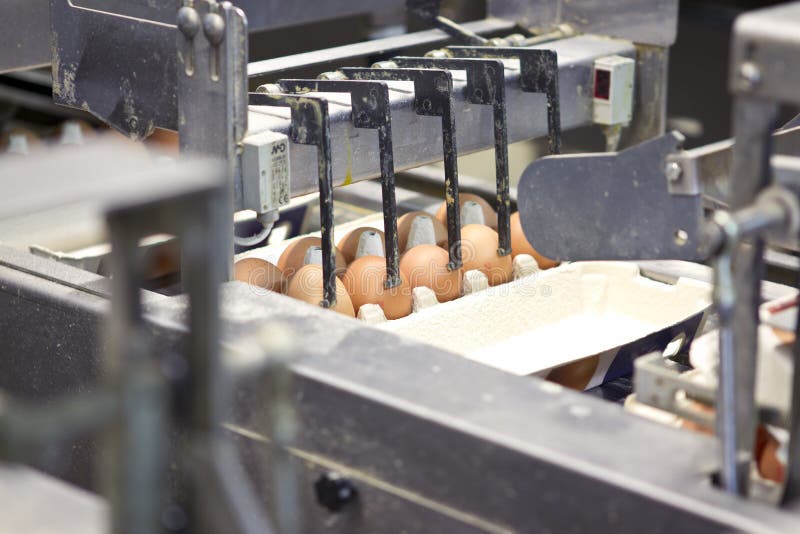 Egg farm stock photo. Image of modern, organic, industry - 23486418