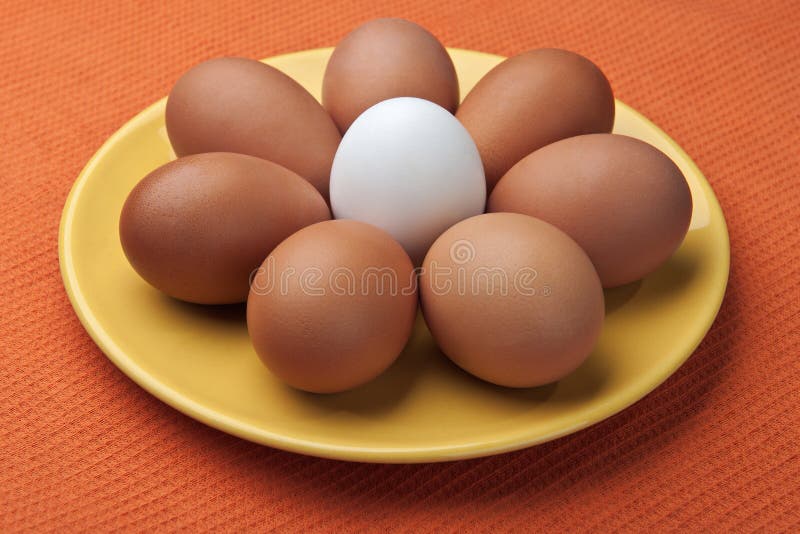 Egg flower stock image. Image of brown, kitchen, food - 17017083