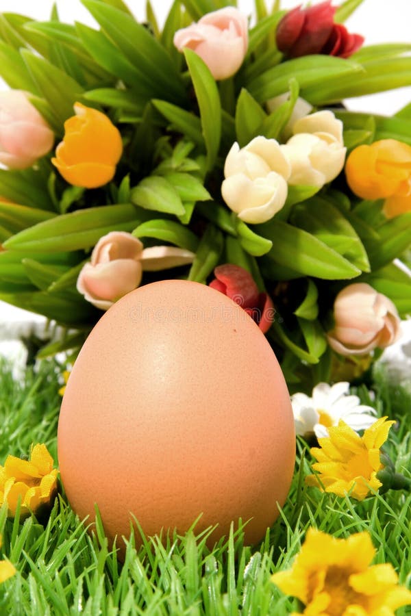 Egg and flowers stock image. Image of flower, tulips, easter - 7929709