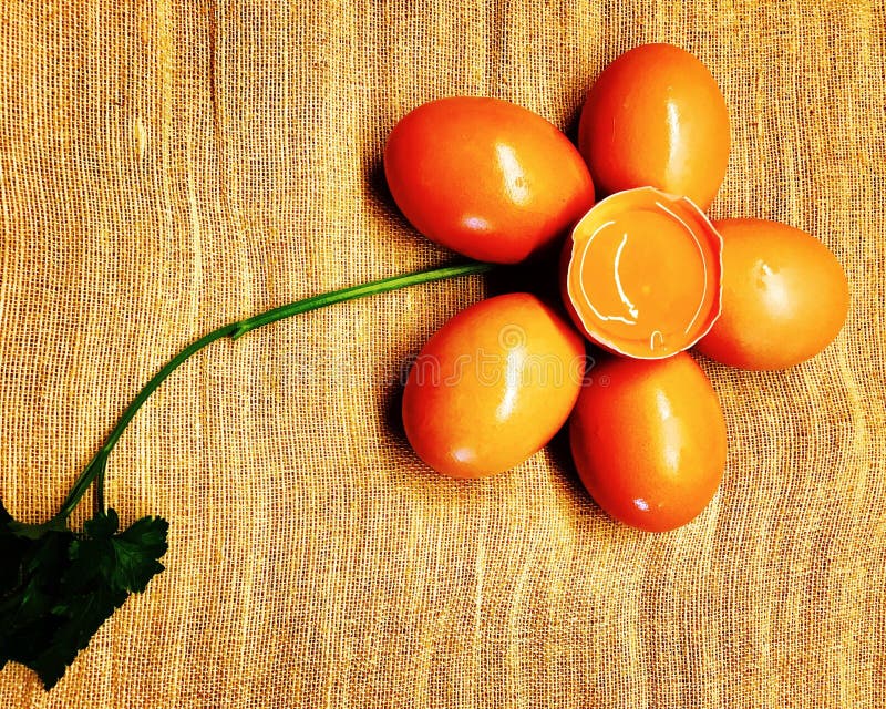 Egg flowers stock photo. Image of flowers, chicken, flower - 89449462