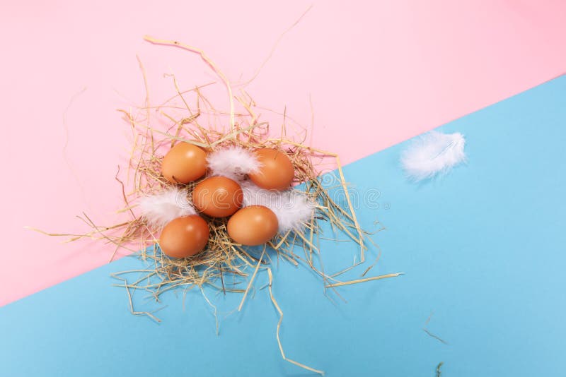 Egg. Fresh Farm Eggs Flat Lay on Colored Paper. Stock Photo - Image of ...