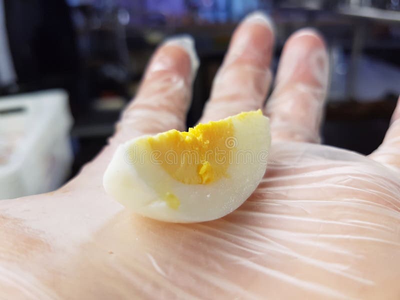 Egg halves on a hand stock photo. Image of growth, drying - 70578948