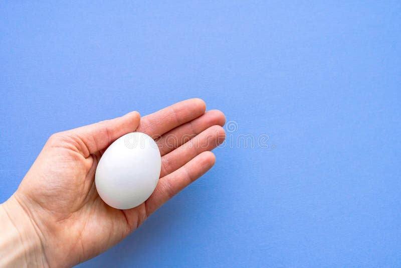 Egg in Hand on a Blue Background Close-up. Stock Image - Image of ...