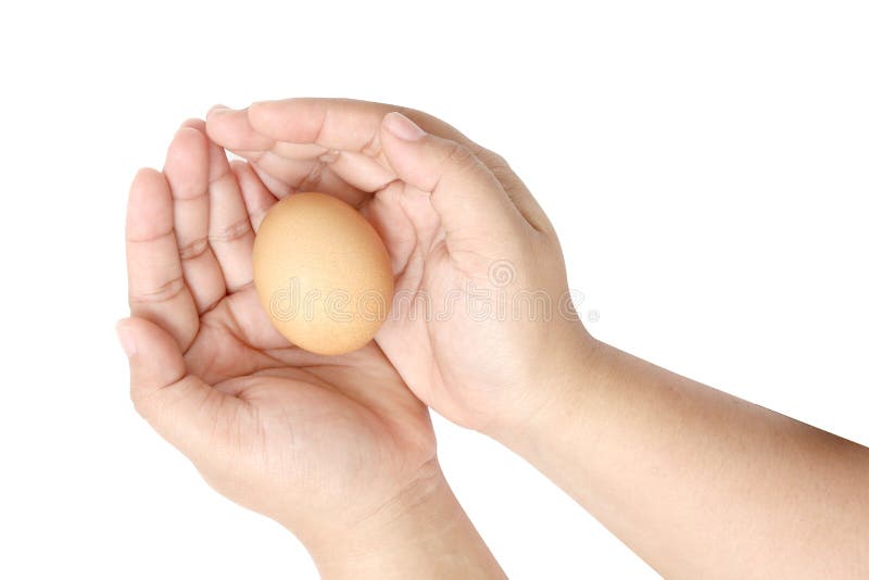 Egg in hand isolated stock image. Image of protein, hold - 67834509