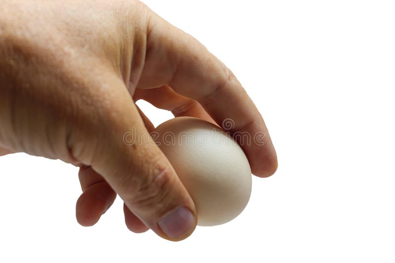 An Egg in the Hand of a Man on a Light Background. Isolated. Stock ...